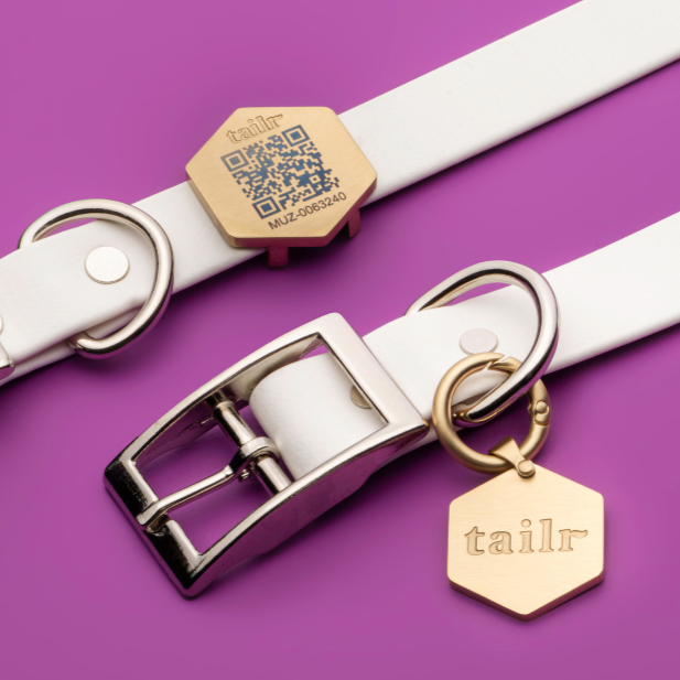 Tailr QR Code Pet ID Tags & Collars