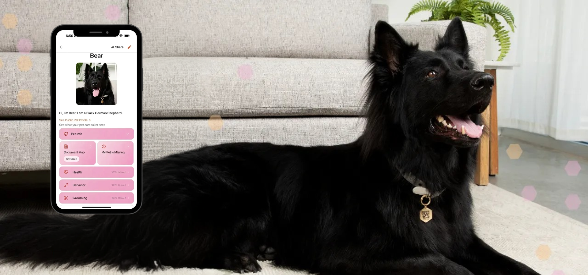 Tailr: Give your Pet a Voice
