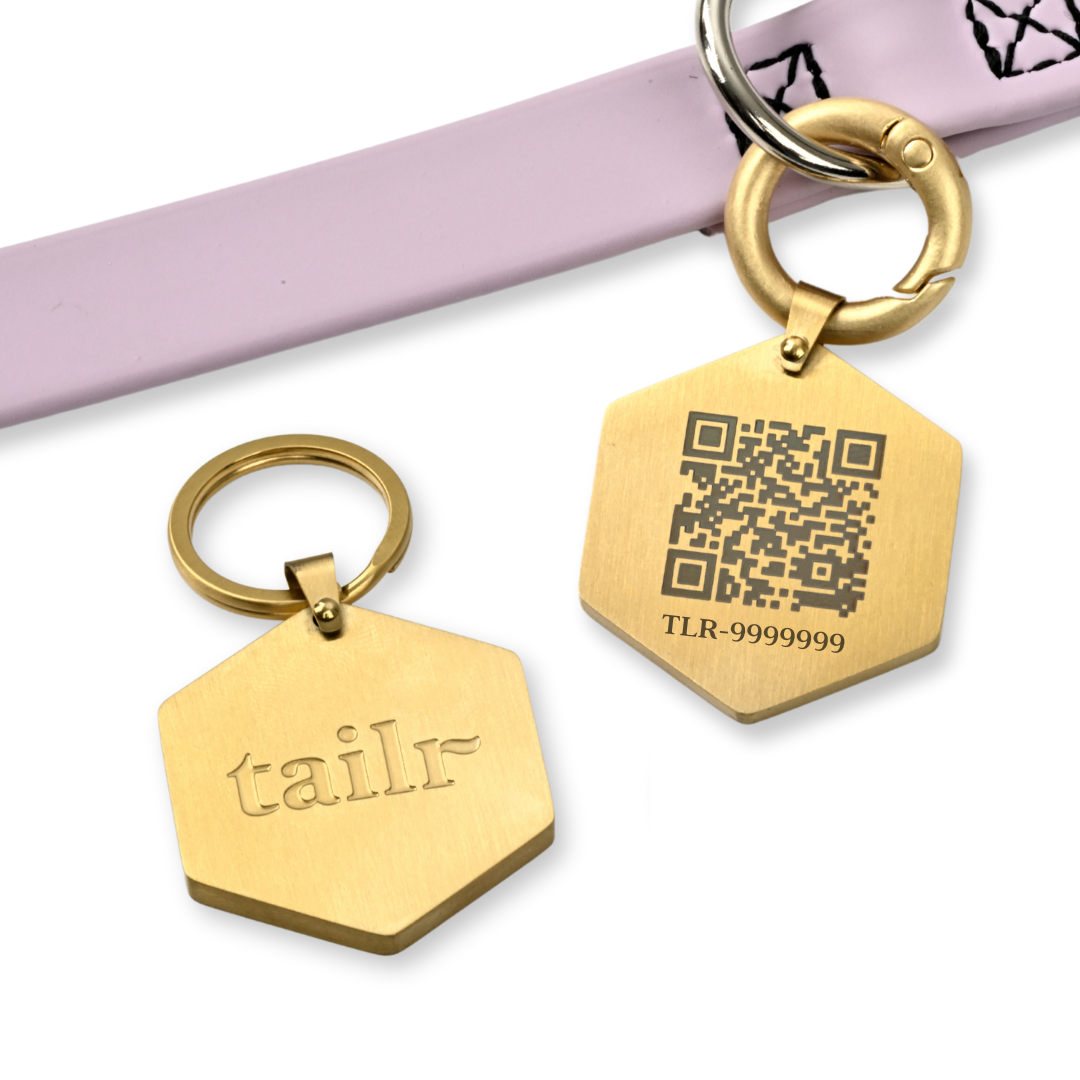 Tailr Classic QR Code Pet ID Tag