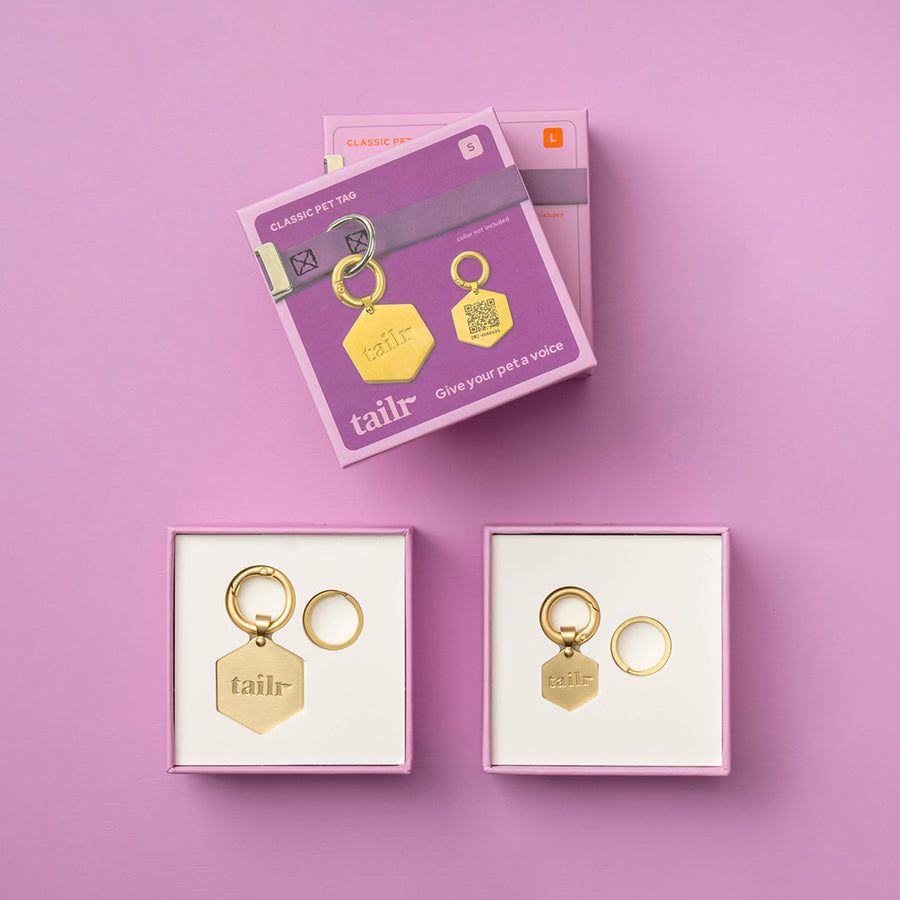 Tailr: Give your Pet a Voice